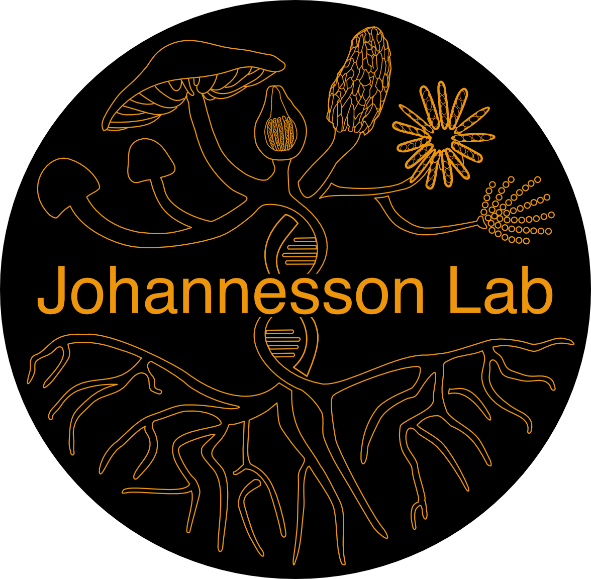 Team | Johannesson Lab